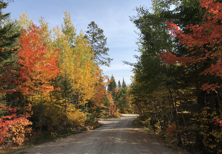 Writing Outfitter | Stories, broadcasts and writing services